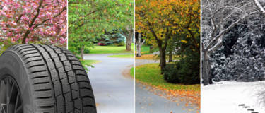 All Weather Tires | All Season vs All Weather Tires | America's Tire