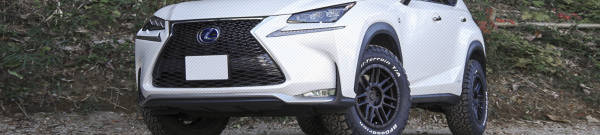2021 Lexus NX300 Tires | Discount Tire